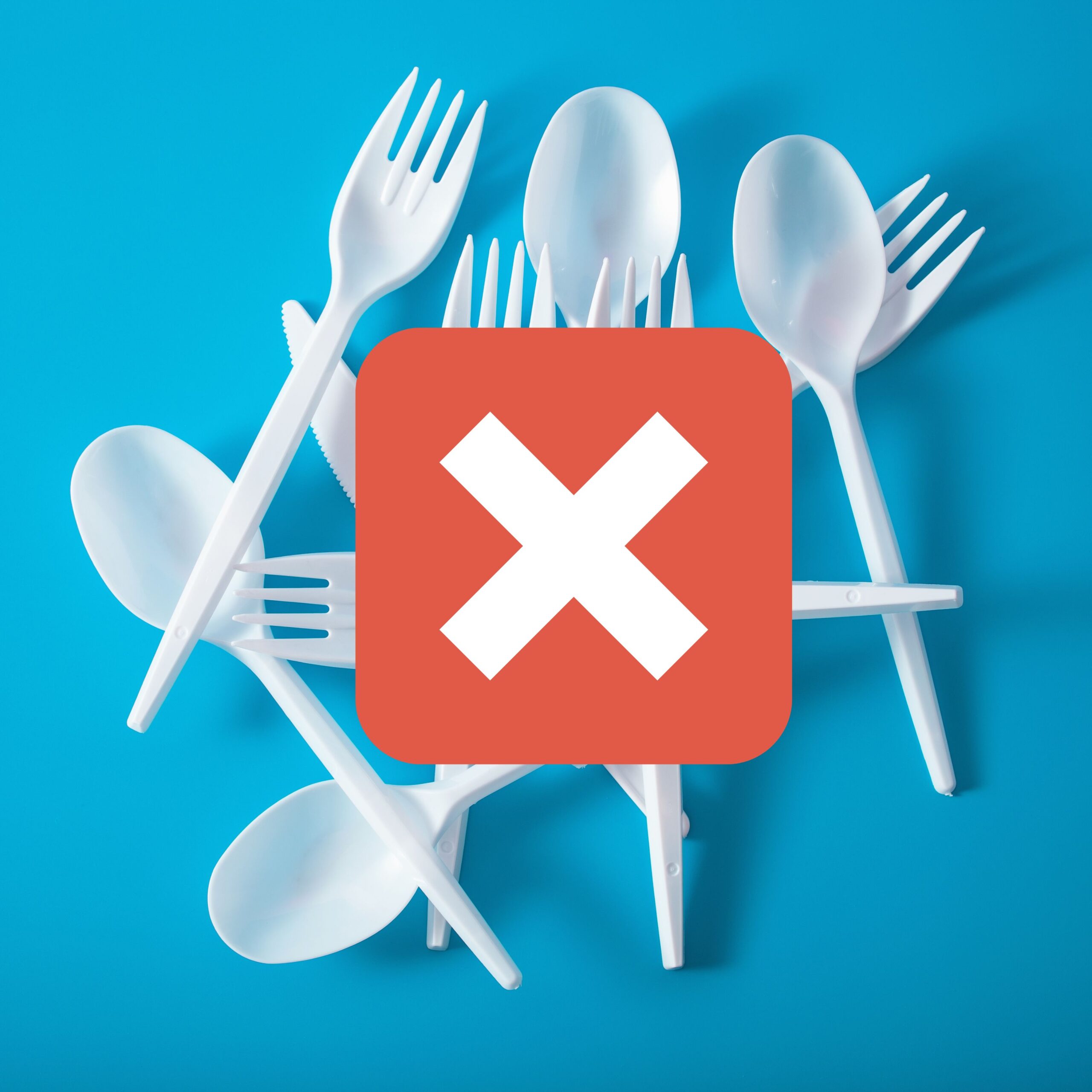 Ban on the Manufacture and Import of Certain Single-Use Plastic Items ...